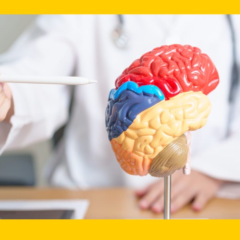 Texas Asphalt Pavement Association